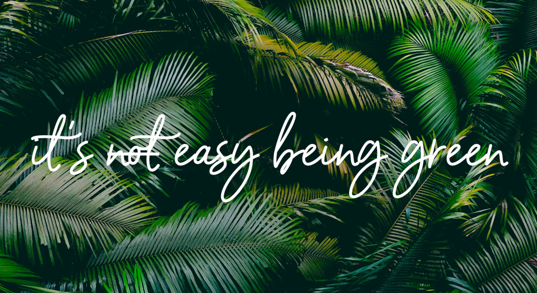 'Its Easy Being Green' - Working towards BCorp standards | TravelTime World